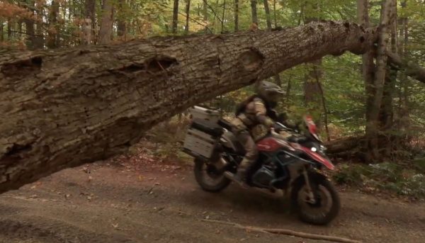 Trailer Released for Northeast BDR Film