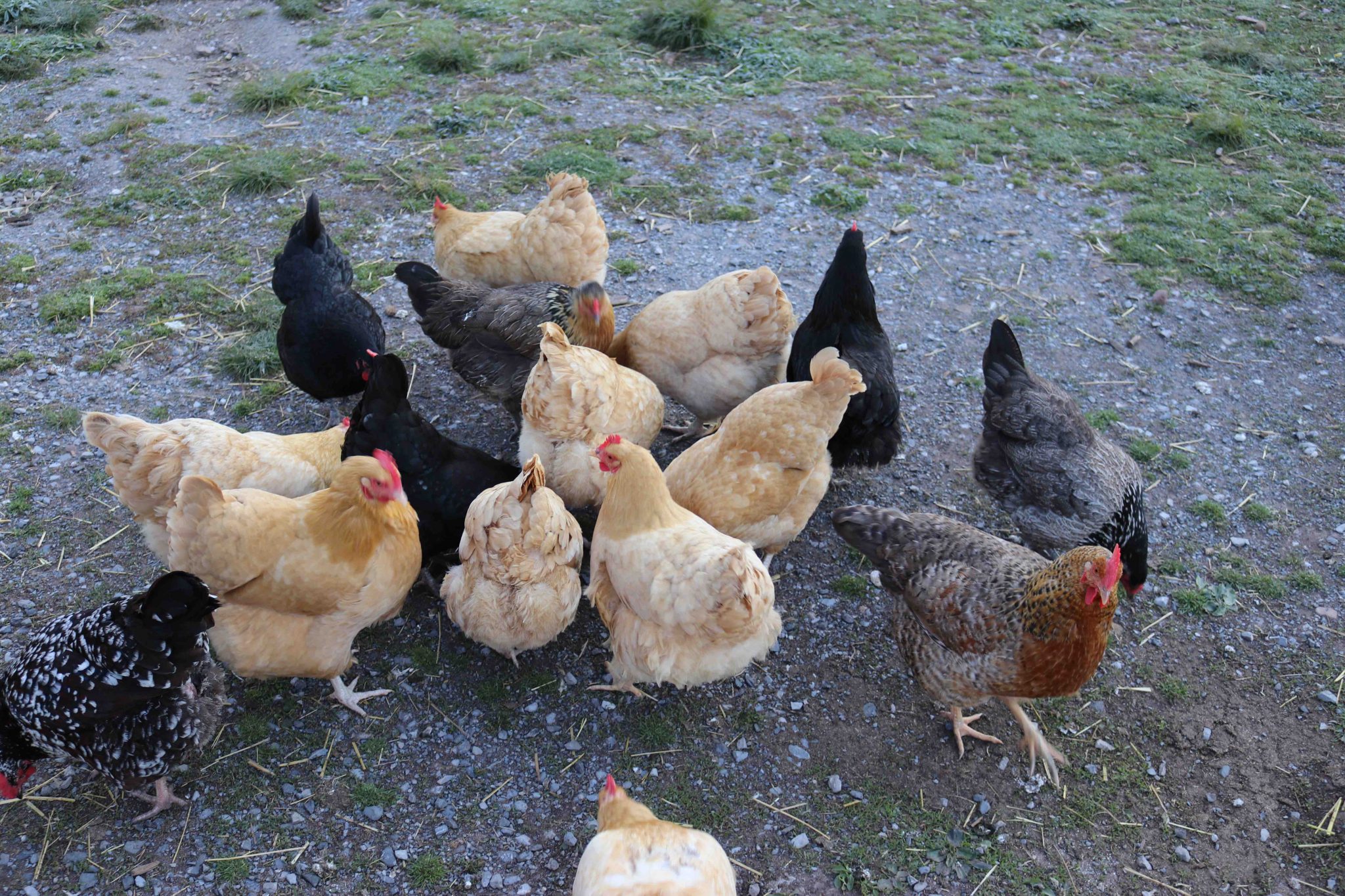 Destinations: Memorable Motorcycle Escape To Frush Farm B&B