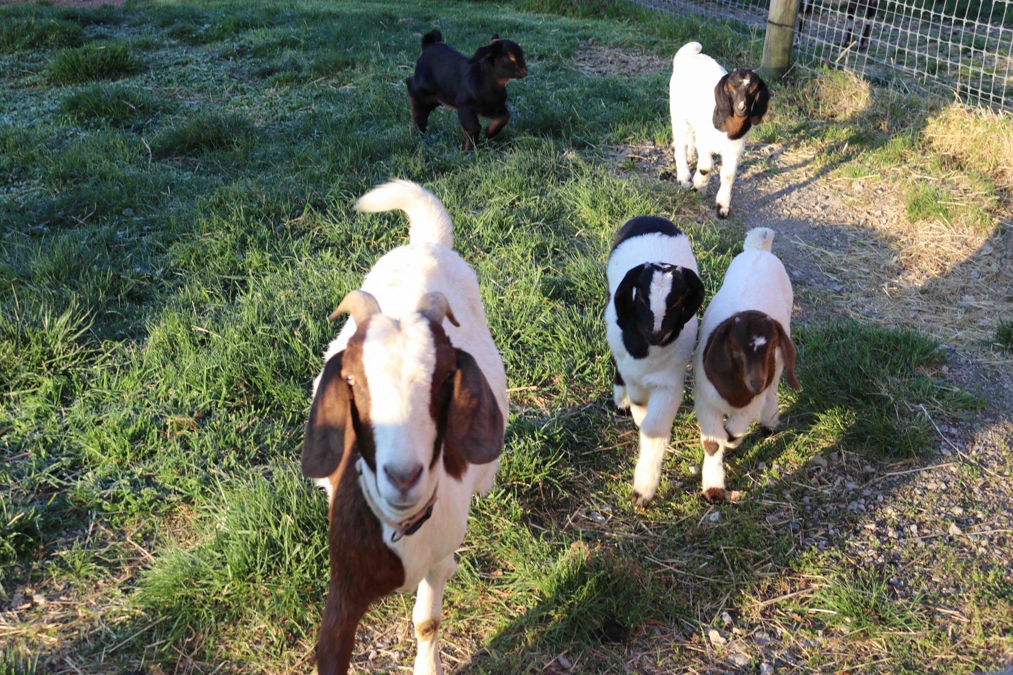 Destinations: Memorable Motorcycle Escape To Frush Farm B&B