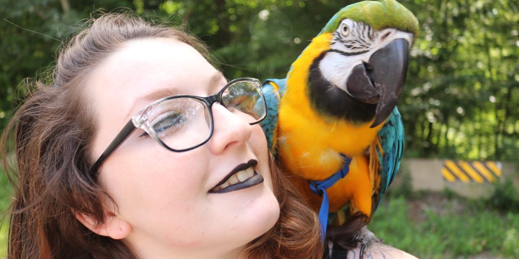 Motorcycle-riding Macaw Always Draws Attention